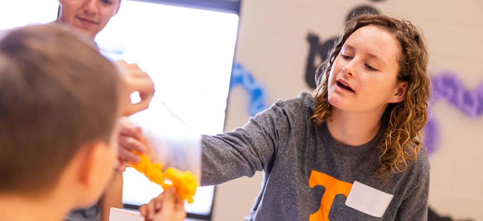 Summer Algebra Enrichment Program - Tickle College of Engineering