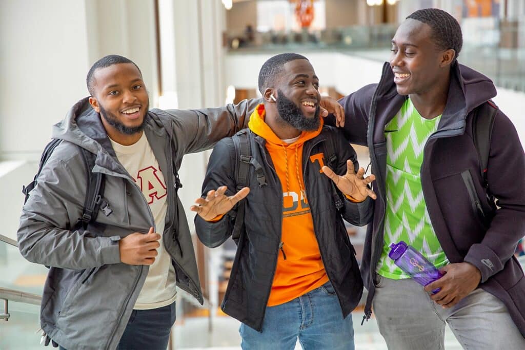 Engineering Vols - Tickle College of Engineering